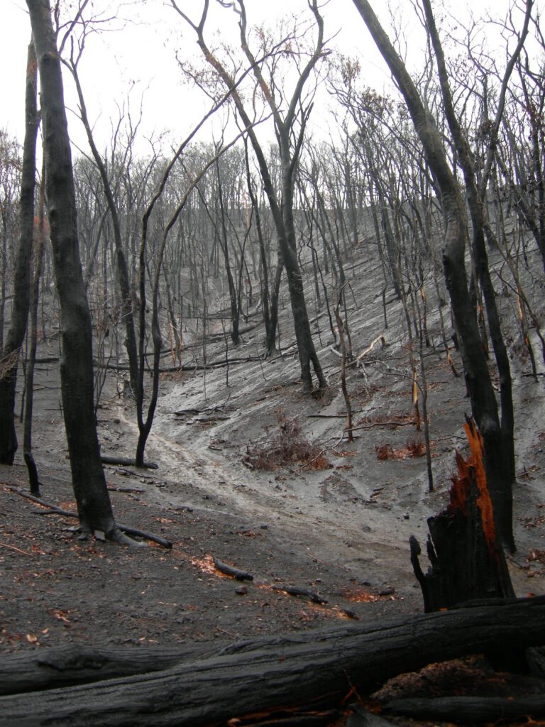 Assessment of post fire debris flow management - Alluvium Group