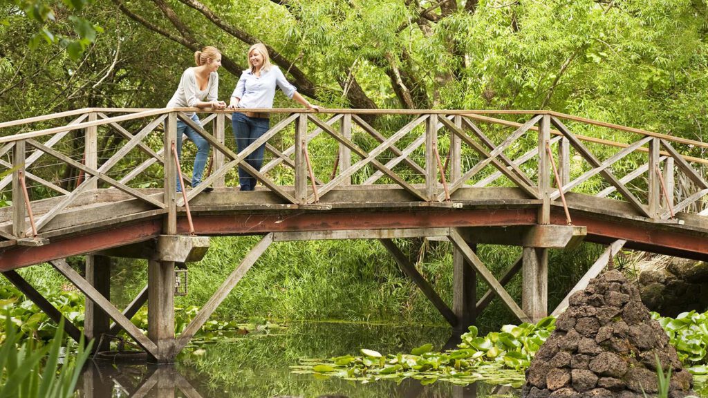 Hamilton Integrated Water Management Plan - Alluvium Group