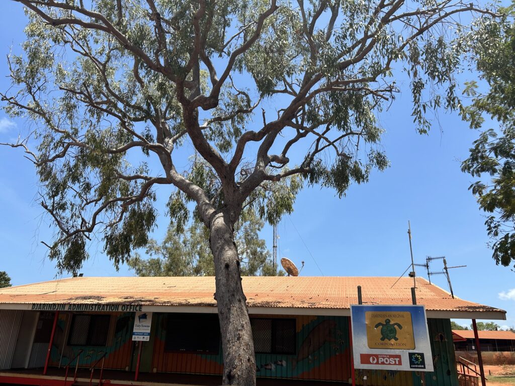 Aalga Goolil - Indigenous owned power station for Djarindjin and Lombadina communities ...